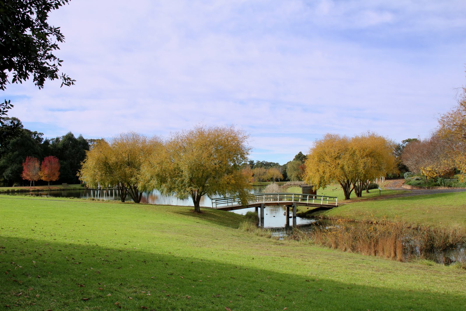 Fagan Park-5